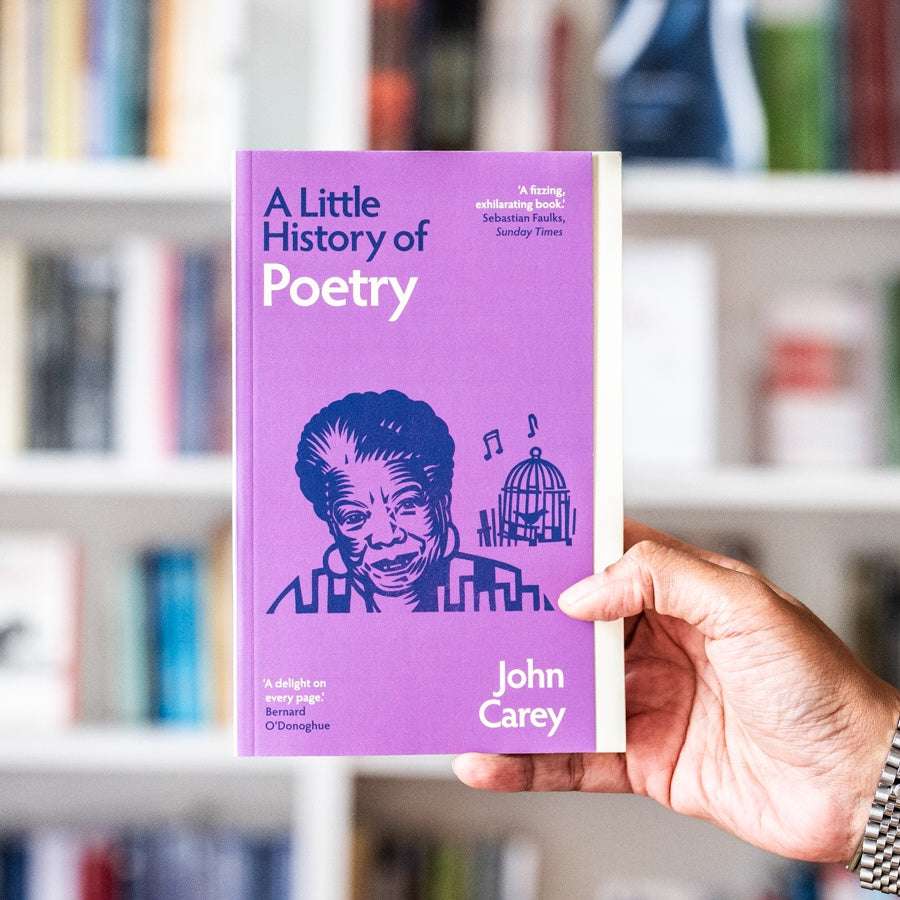 A Little History of Poetry — Wardah Books