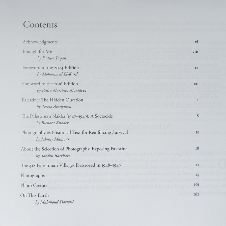 Against Erasure: A Photographic Memory of Palestine Before the Nakba ...