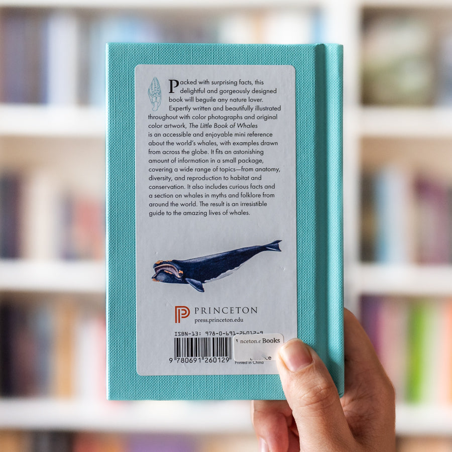The Little Book of Whales — Wardah Books