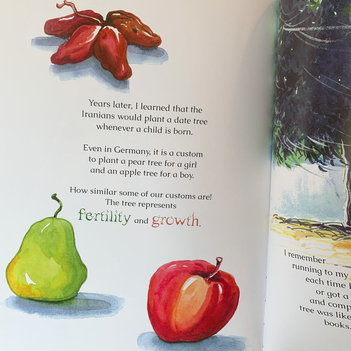 Mango Tree — Wardah Books