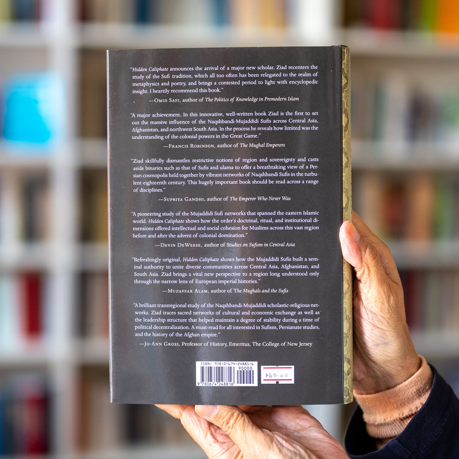 Hidden Caliphate: Sufi Saints Beyond the Oxus and Indus — Wardah Books