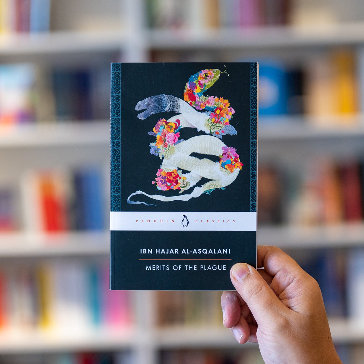 Merits of the Plague — Wardah Books