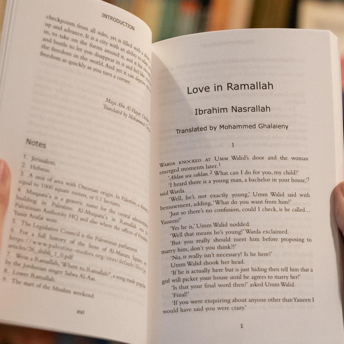 The Book of Ramallah: A City in Short Fiction — Wardah Books